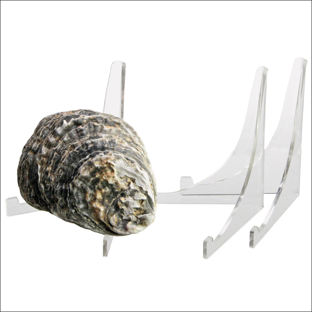 Rock Display Stands-Tri Easel Large 4"H | SAFE Collecting Supplies