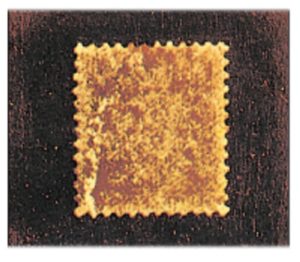 Signoscope Pro Watermark Detector - NEW Model | SAFE Collecting Supplies