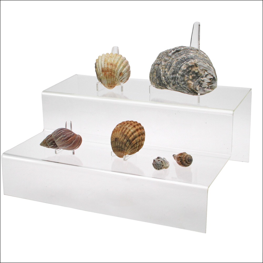 Seashell Display Steps-Clear Acrylic Glass Riser Wide Step Display ...