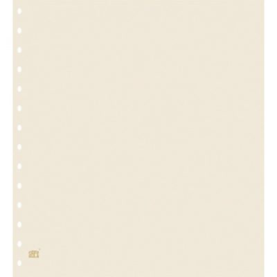 Cream Blank Page Per 10 | SAFE Collecting Supplies